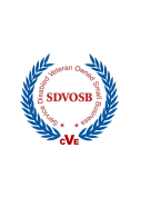 Subsea Cameras | Sidus Solutions