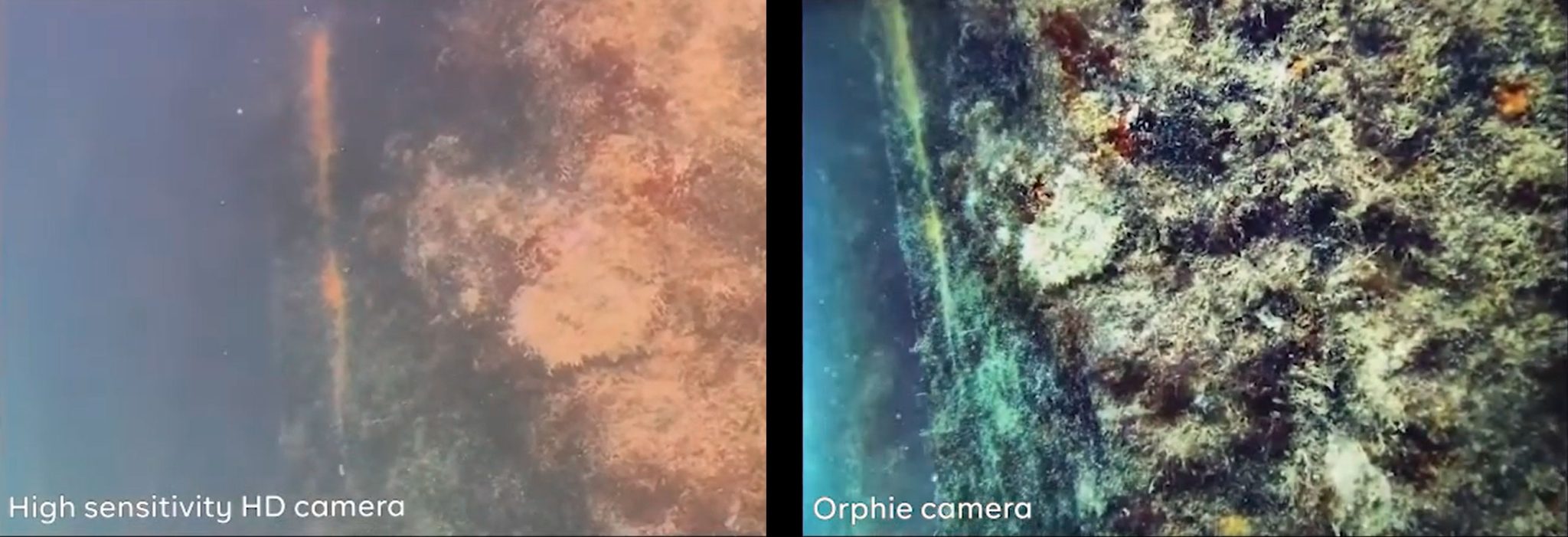 OrphieCam 3000 Subsea Camera | Sidus Solutions